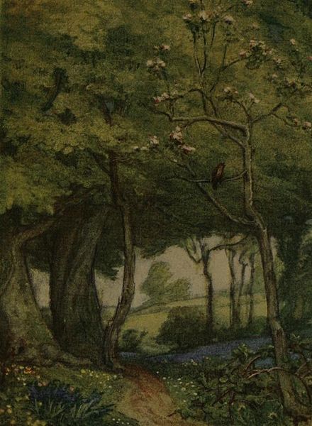 My Back Pages: Scent and Sound in John Keats’s “Ode to a Nightingale ...